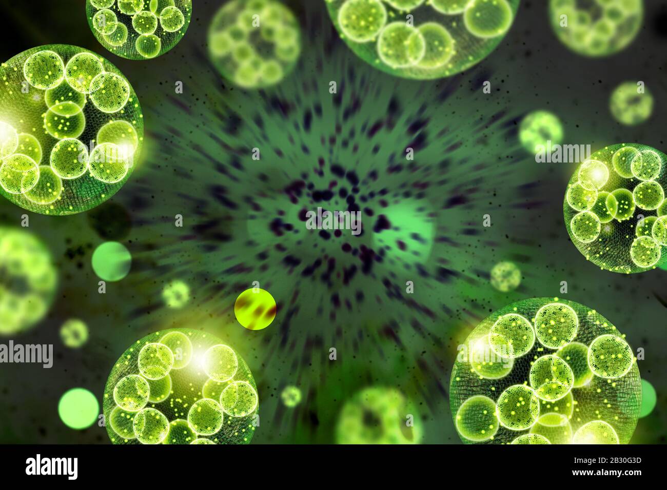 Green single cell chlorella algae microscopic conceptual 3D ...