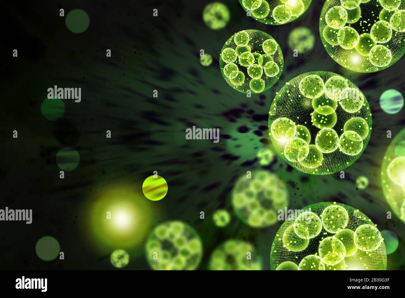Green single cell chlorella algae microscopic conceptual 3D ...