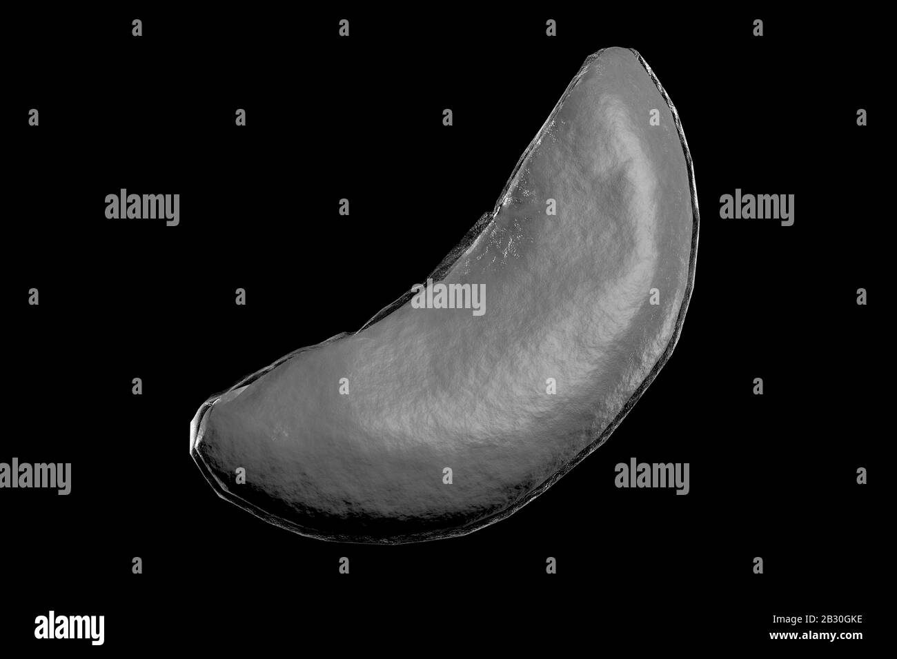 Sickle cell anemia disease (SCD) blood cells 3D illustration Stock ...