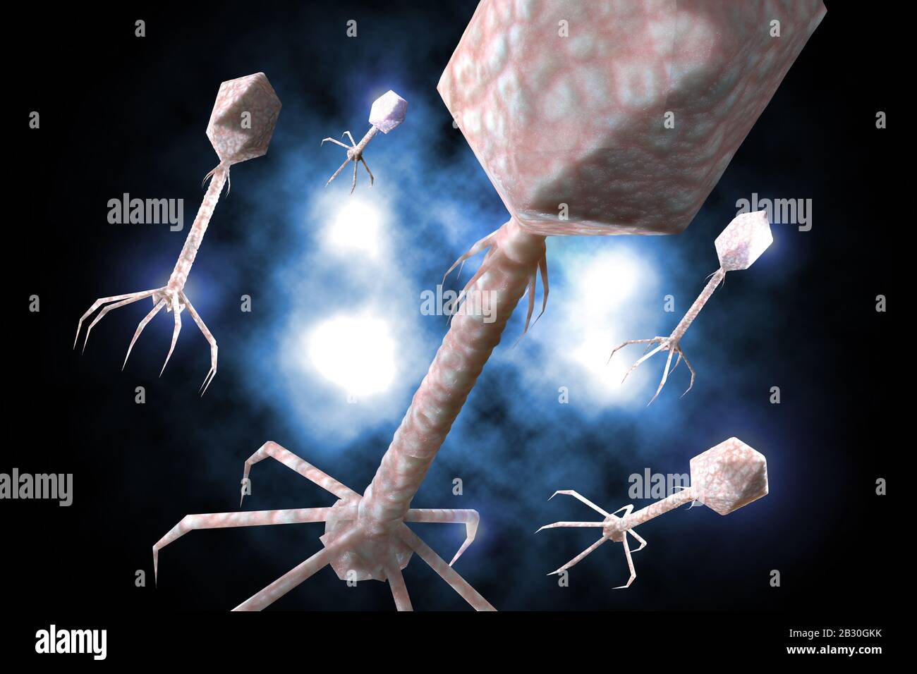 Closeup bacteriophage virus attacking bacteria cells 3D illustration Stock Photo - Alamy