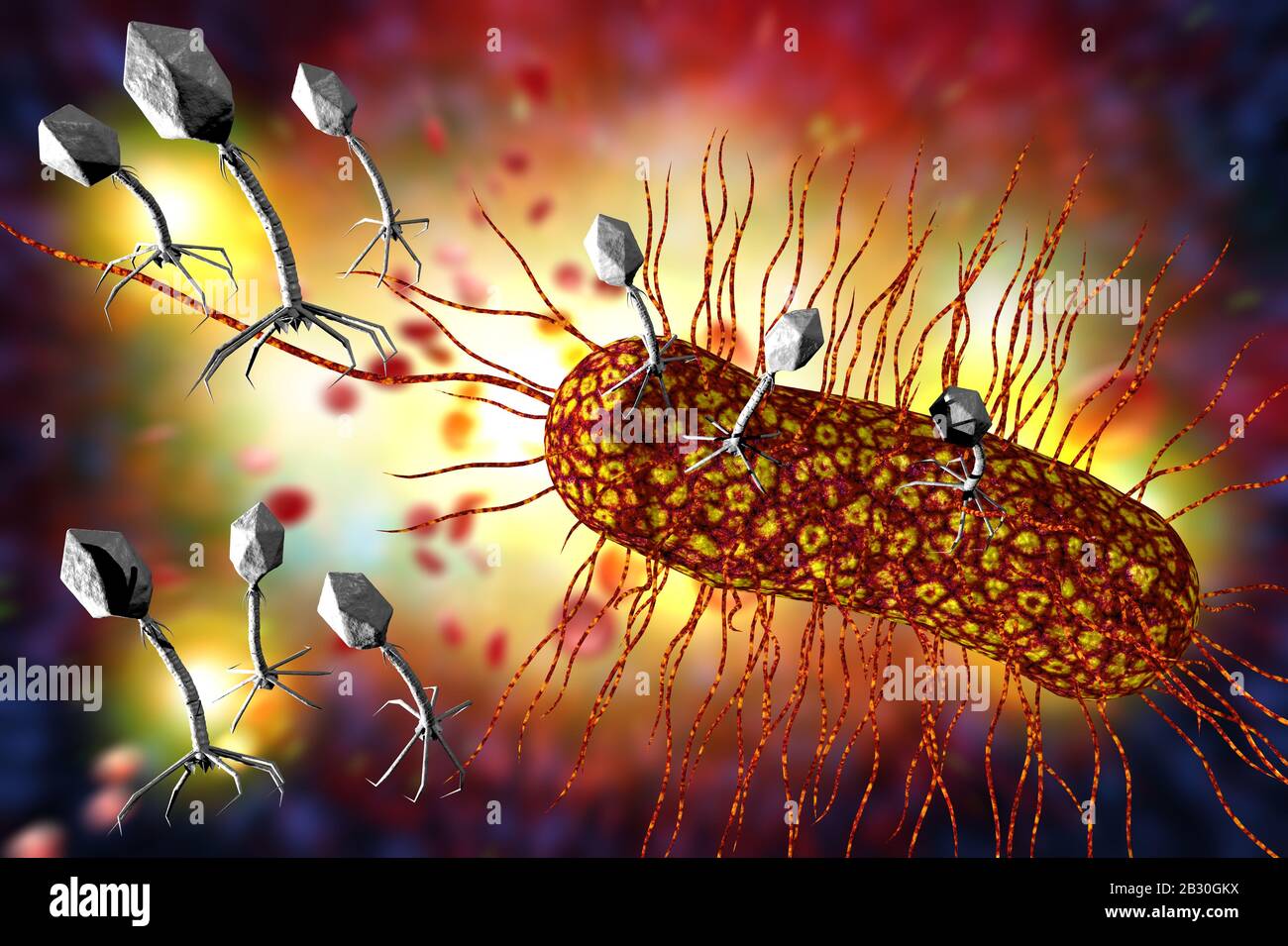 Closeup bacteriophage virus attacking bacteria cells 3D illustration ...