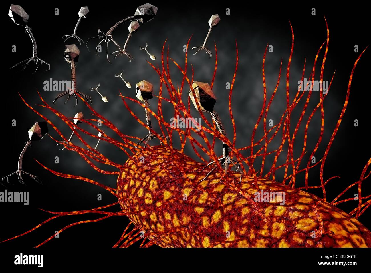 Closeup bacteriophage virus attacking bacteria cells 3D illustration ...