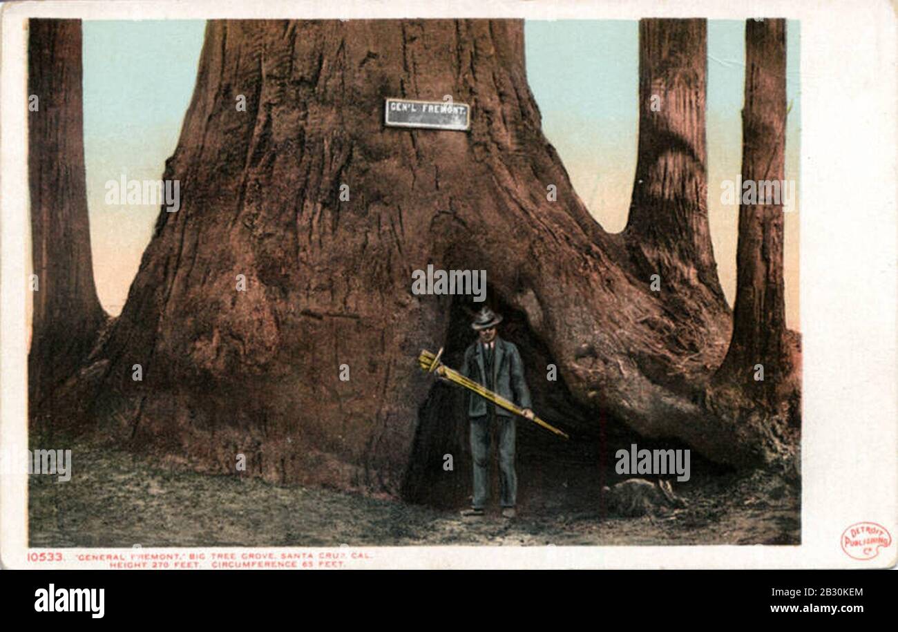 General Fremont, Big Tree Grove, height 270 feet, circumference 65 feet ...