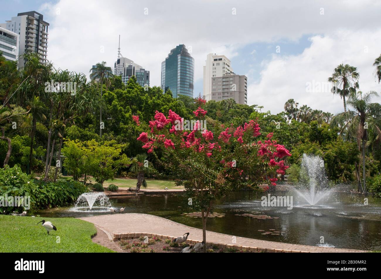 City Botanic Gardens in Brisbane, state capital of Queensland ...