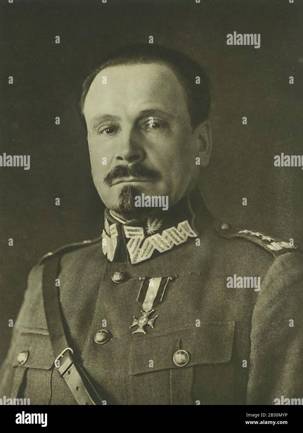 Generał Józef Haller von Hallenburg Stock Photo - Alamy