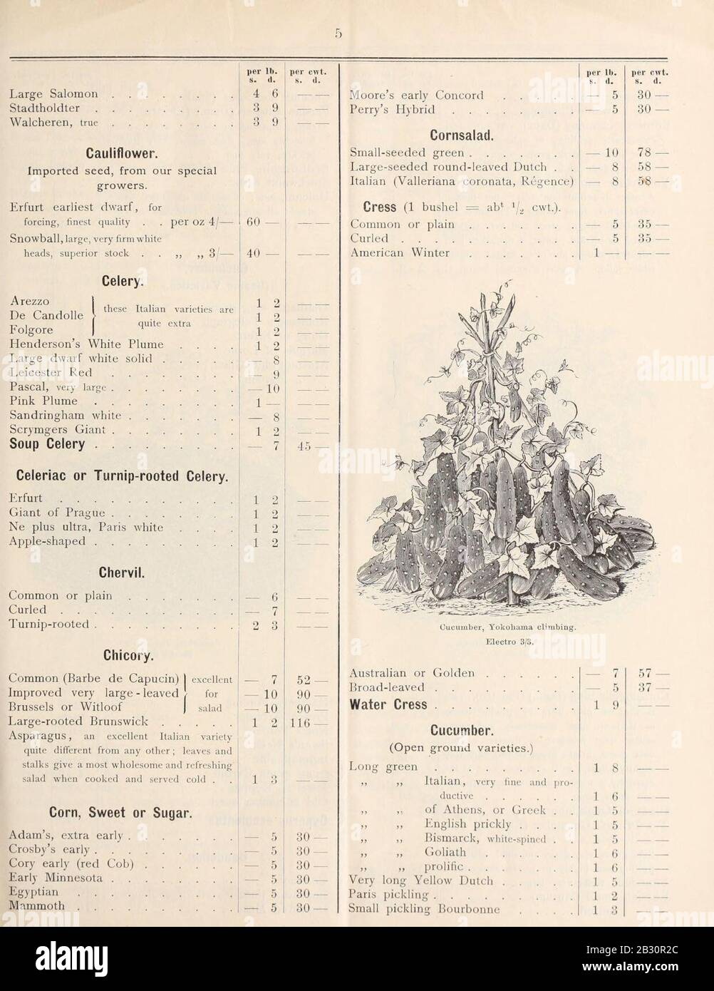 General price list of vegetable, farm, tree, conifer, palm, flower and ...