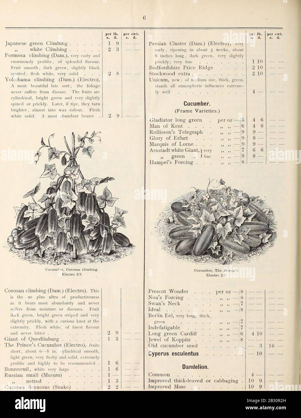 General price list of vegetable, farm, tree, conifer, palm, flower and ...