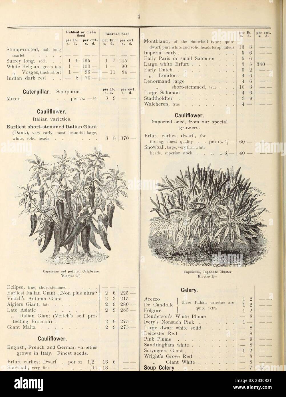 General price list of vegetable, farm, tree, conifer, palm, flower and ...