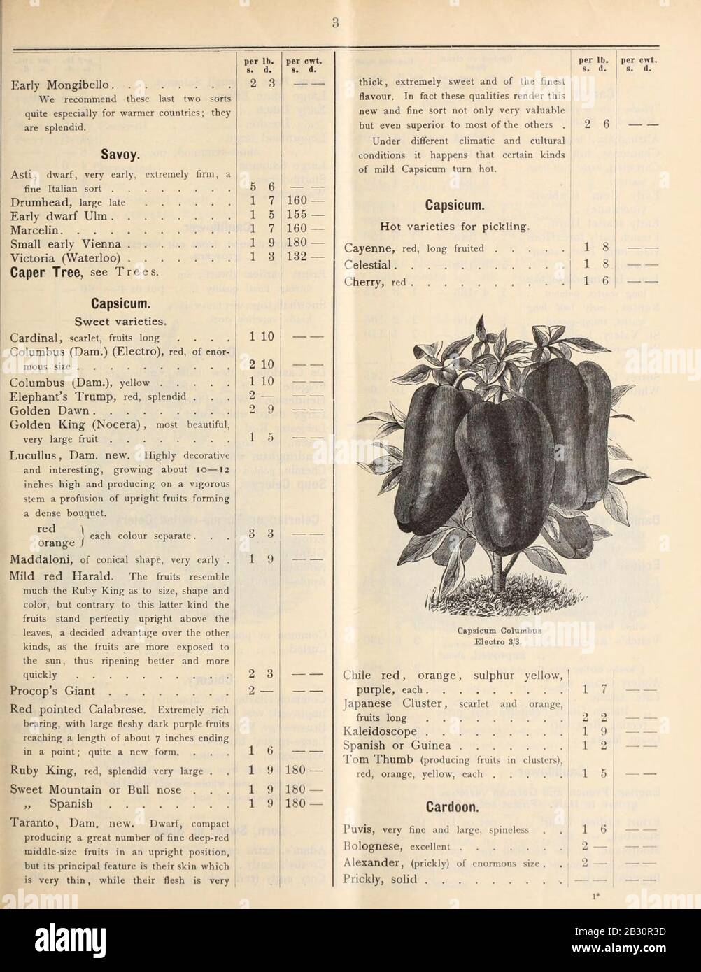 General price list of vegetable, farm, tree, conifer, palm, flower and ...