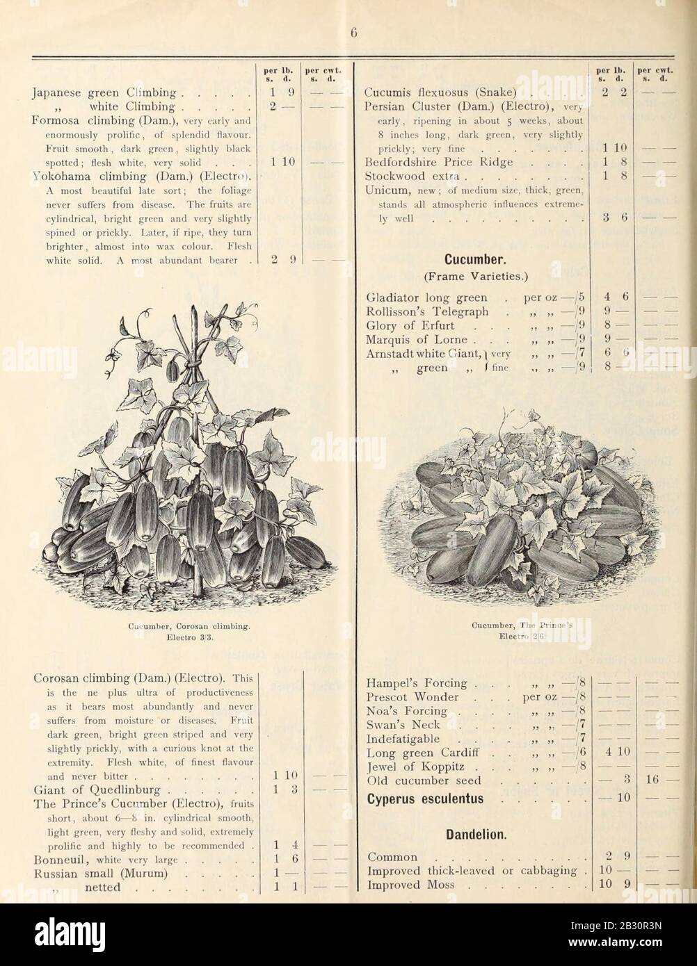 General price list of vegetable, farm, tree, conifer, palm, flower and ...