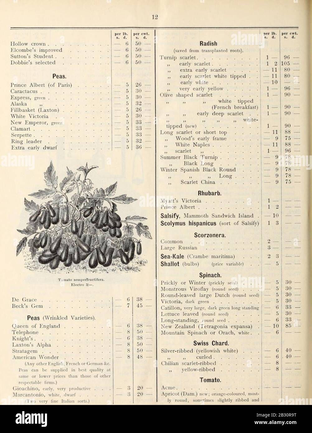 General price list of vegetable, farm, tree, conifer, palm, flower and ...