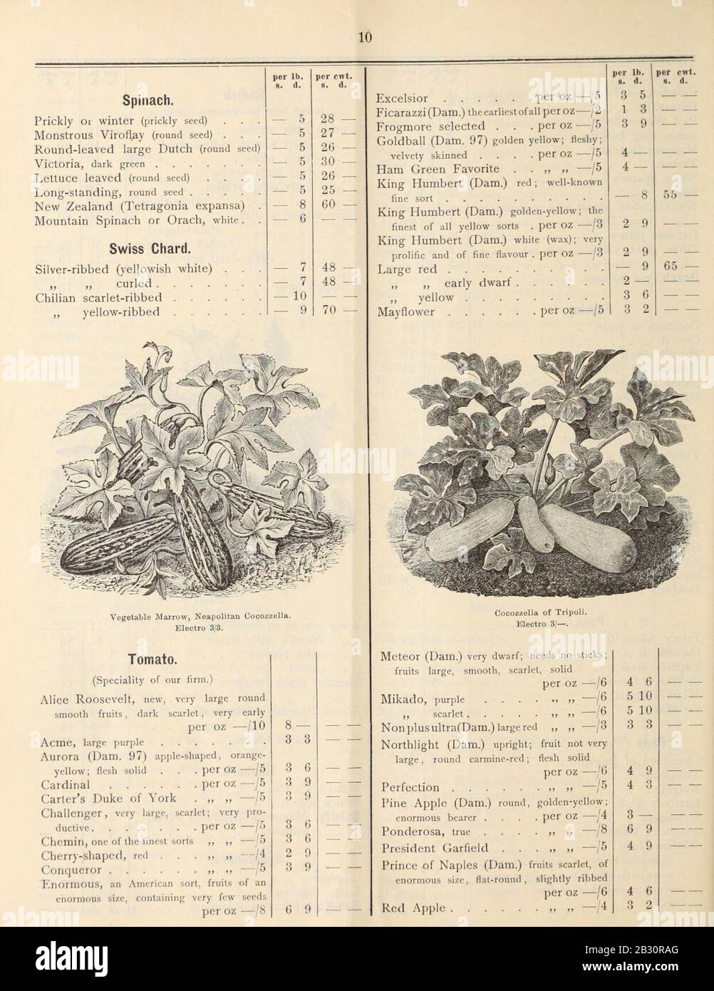 General price list of vegetable, farm, tree, conifer, palm, flower and ...