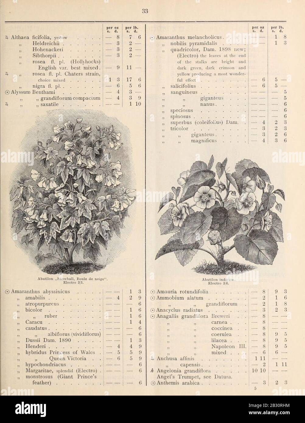 General price list of vegetable, farm, tree, conifer, palm, flower and ...