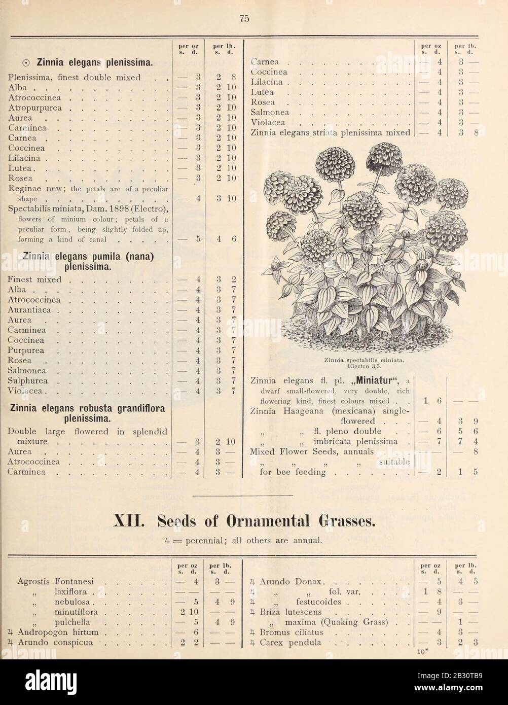 General price list of vegetable, farm, tree, conifer, palm, flower and ...