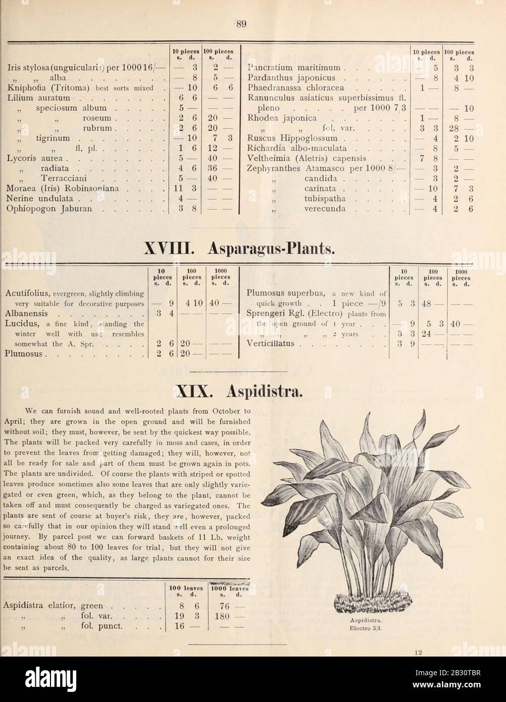 General price list of vegetable, farm, tree, conifer, palm, flower and ...