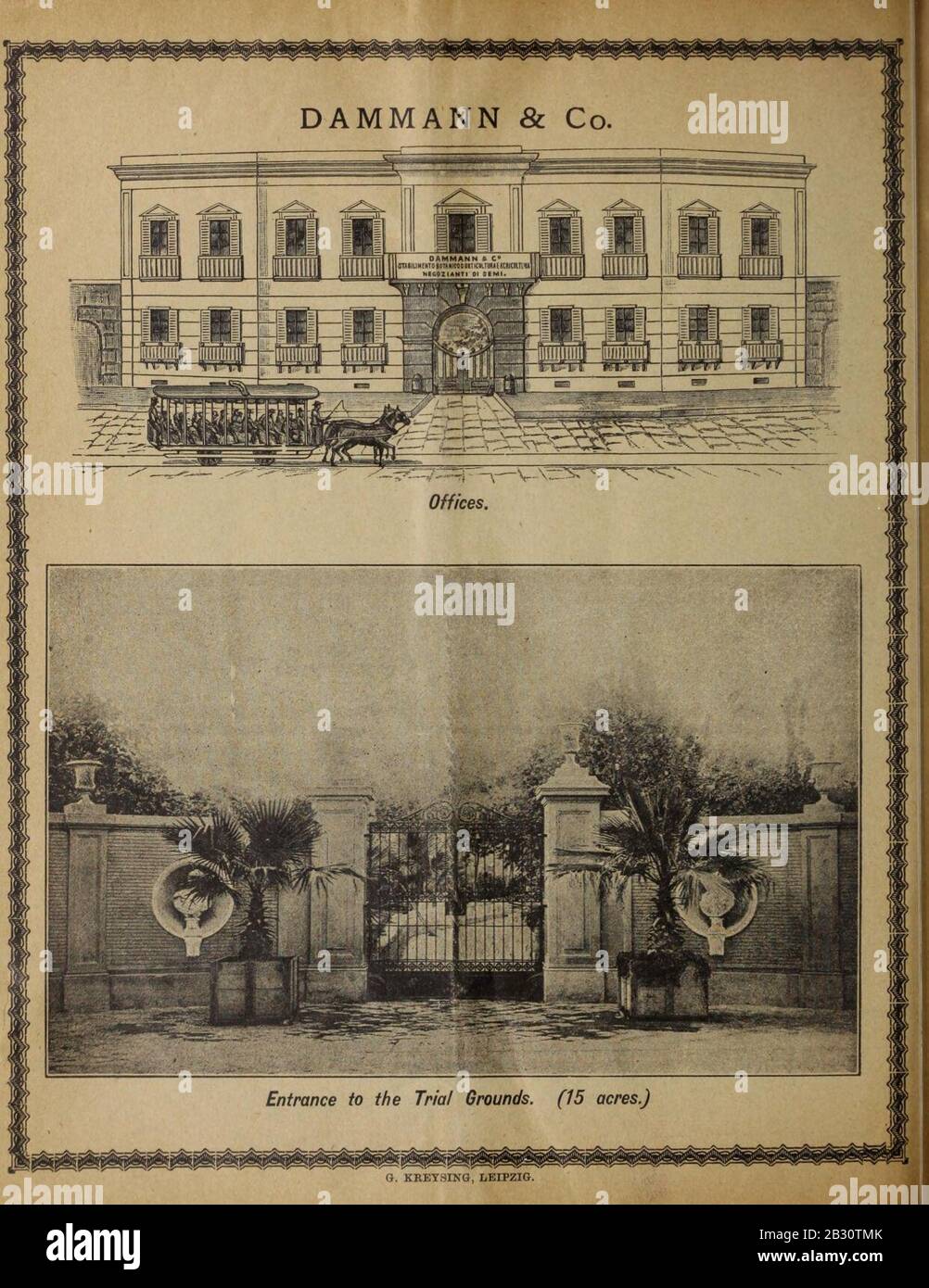 General price list of vegetable, farm, tree, conifer, palm, flower and ...