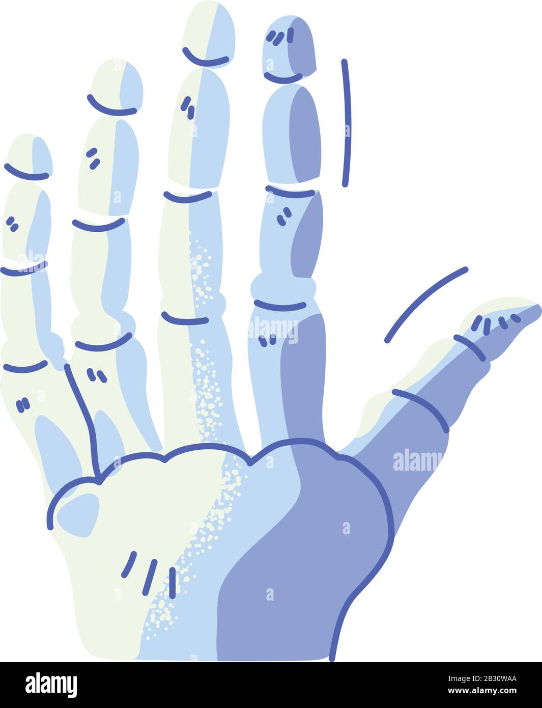 bones of the hand, body part on white background vector illustration ...