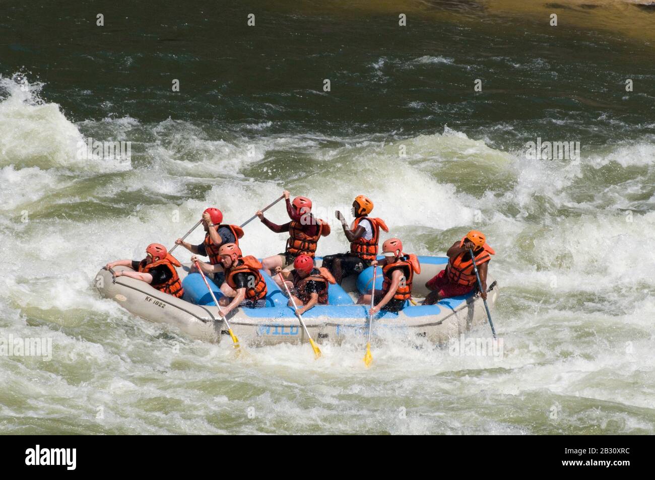 White Water Rafting On Zambesi High Resolution Stock Photography and ...