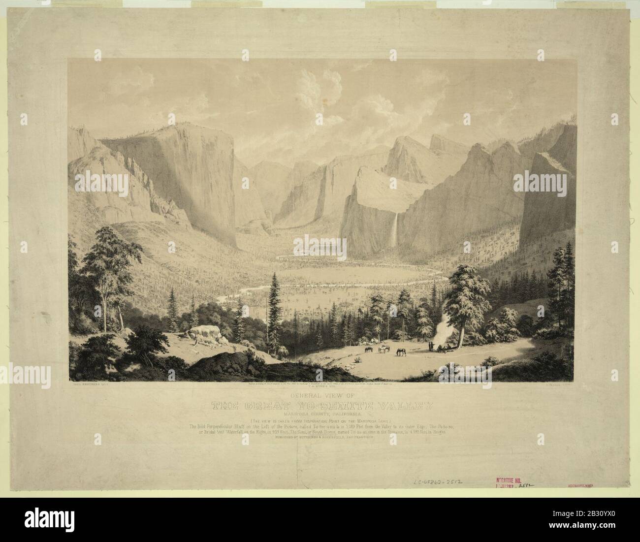 Semite hi-res stock photography and images - Alamy