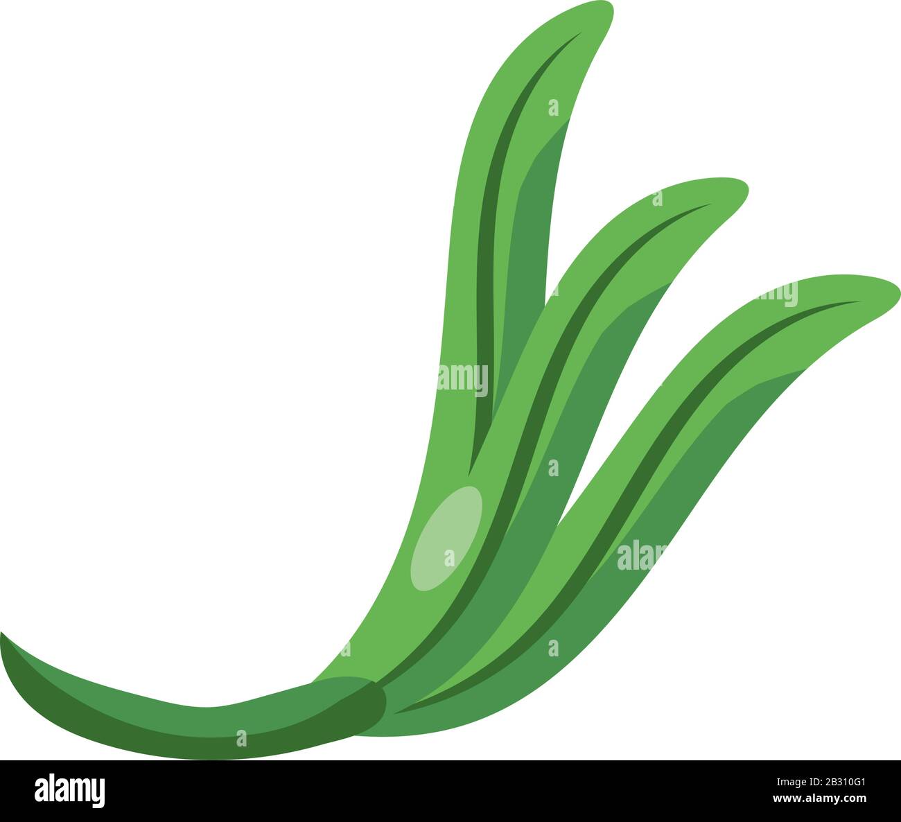 green bean icon over white background, flat detail style, vector ...