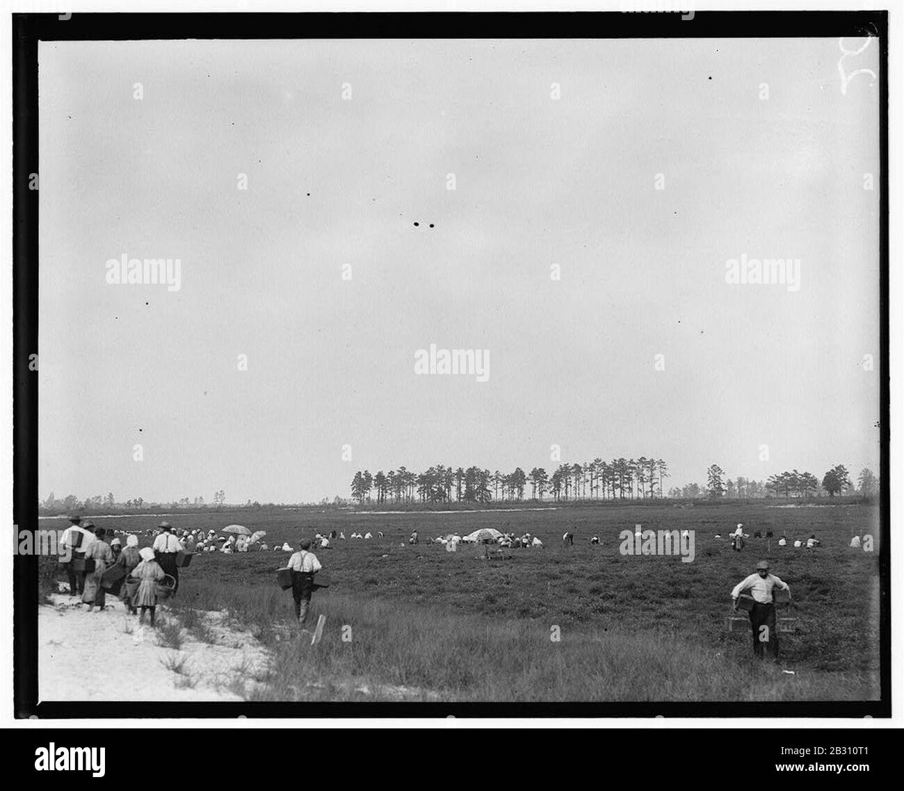 Bog e Black and White Stock Photos & Images - Alamy