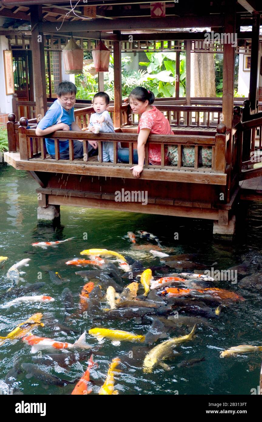 Feeding carp at the Wu Wei Teahouse in Taichung, Taiwan Stock Photo - Alamy