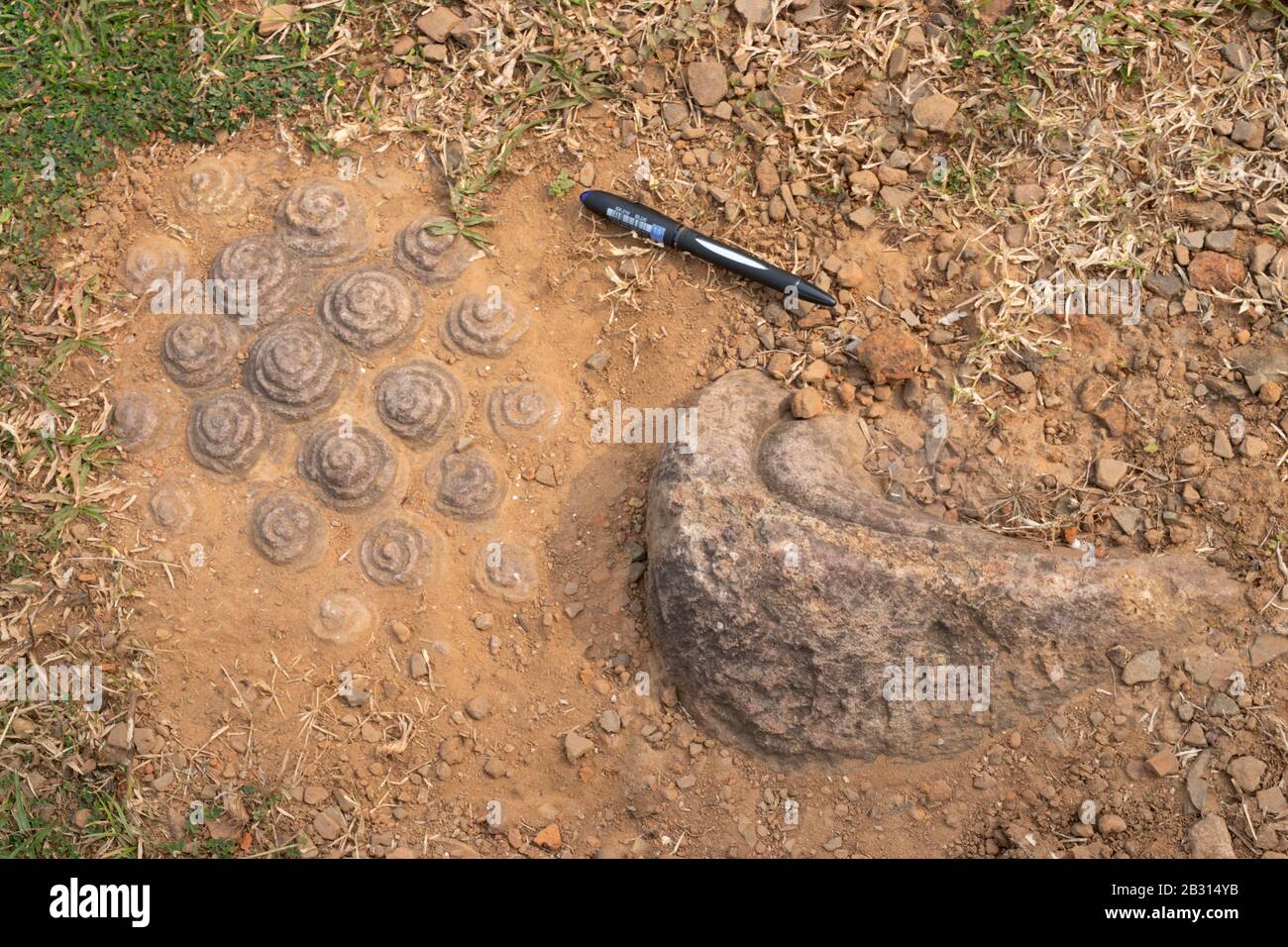 Sculpture of a huge Buddha buried in a mound showing head and ear ...