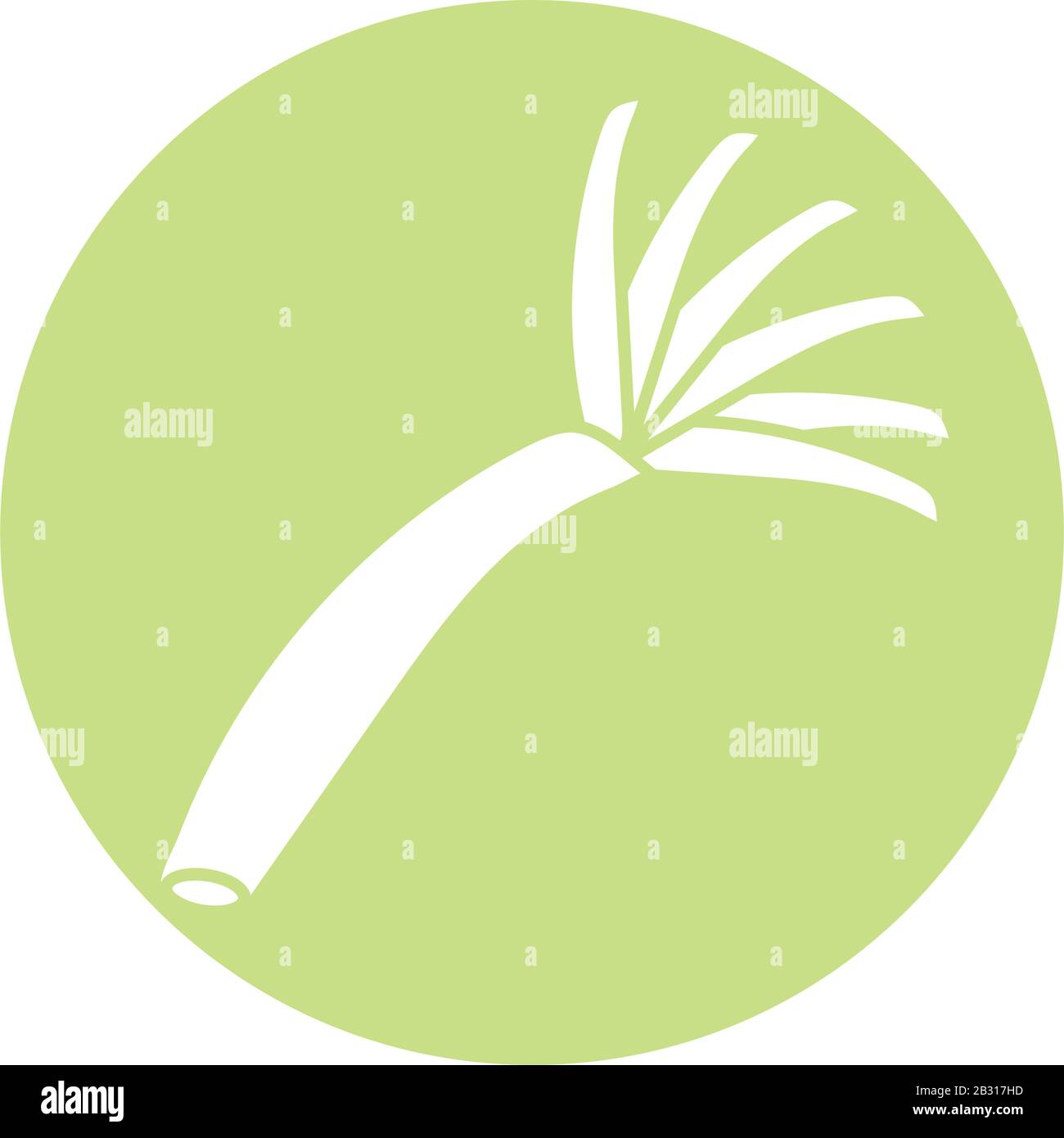 green onion icon over white background, block style, vector ...