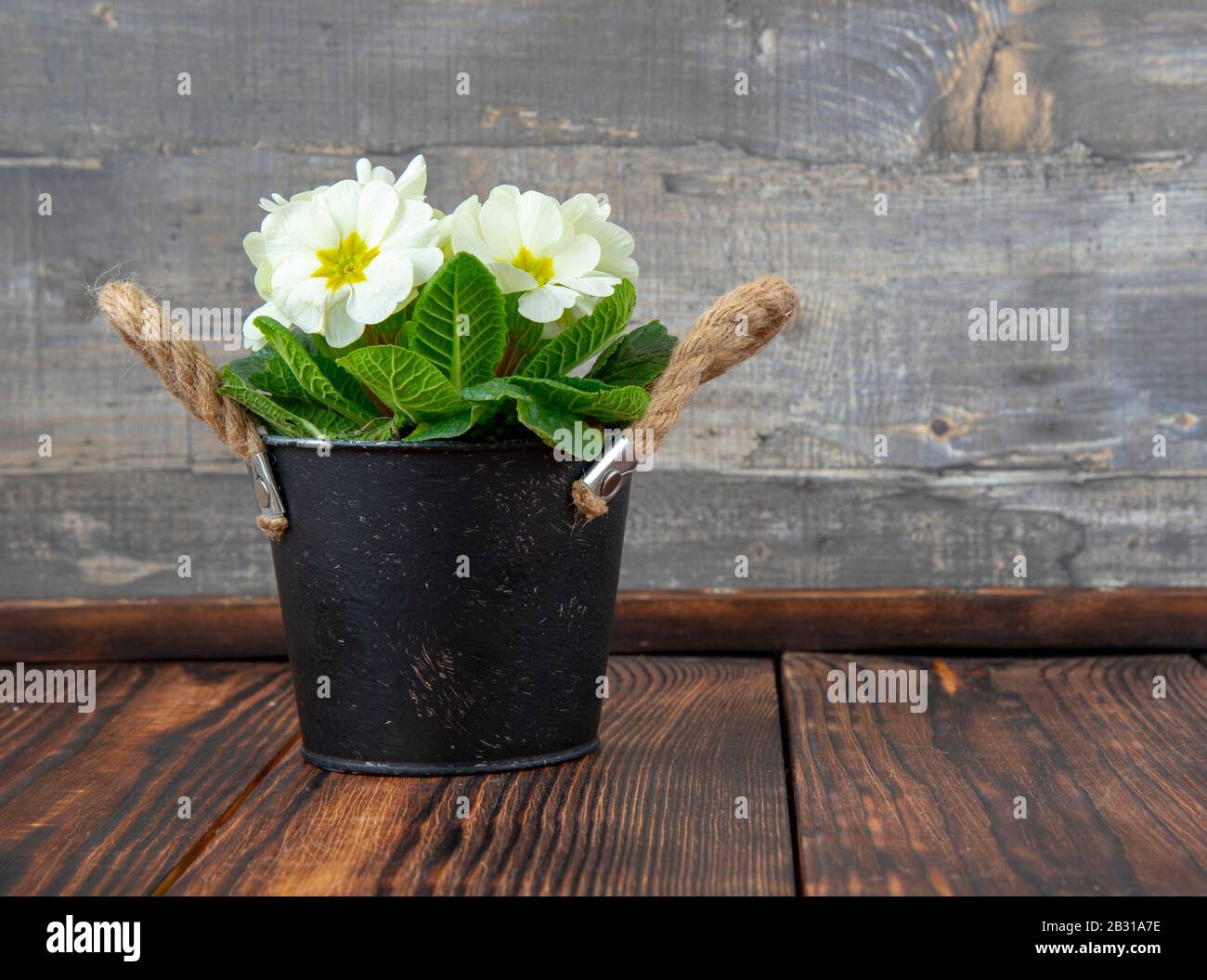 One black metal decorative bucket with a white border on a wooden ...