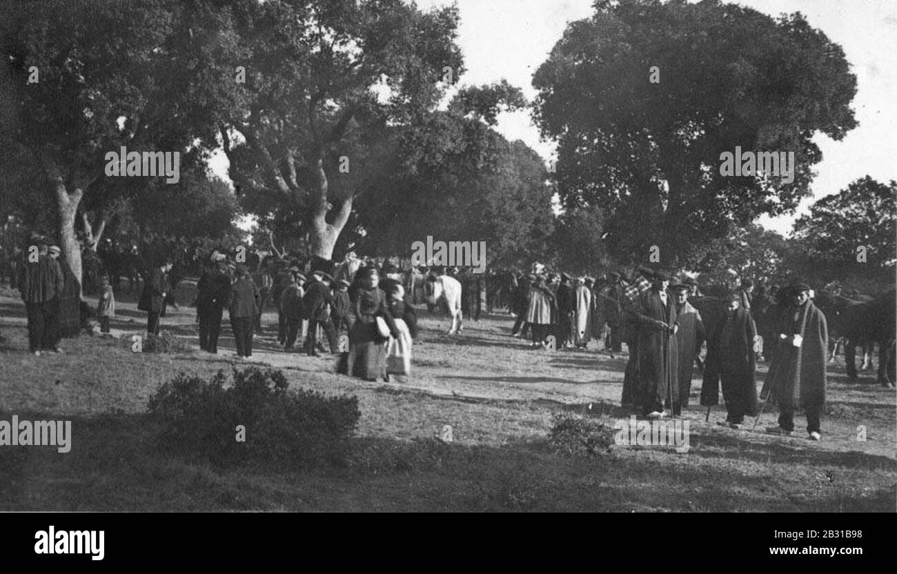 Firal hi-res stock photography and images - Alamy