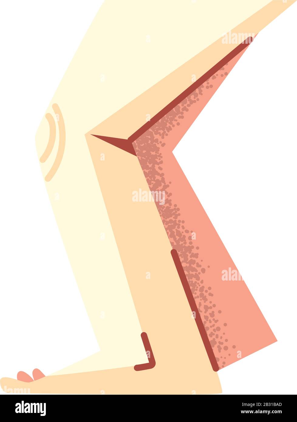 human leg, body part on white background vector illustration design ...