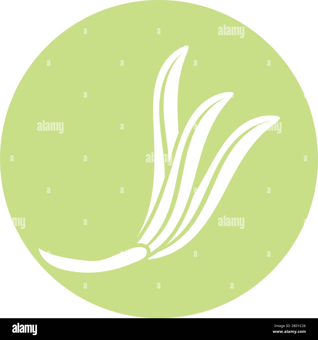 green bean icon over white background, flat detail style, vector ...