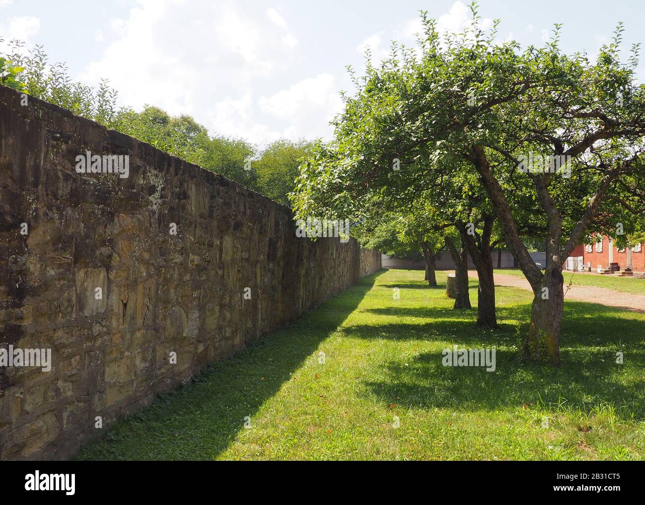 Colonial Grounds Tree Line Courtyard Stock Photo - Alamy