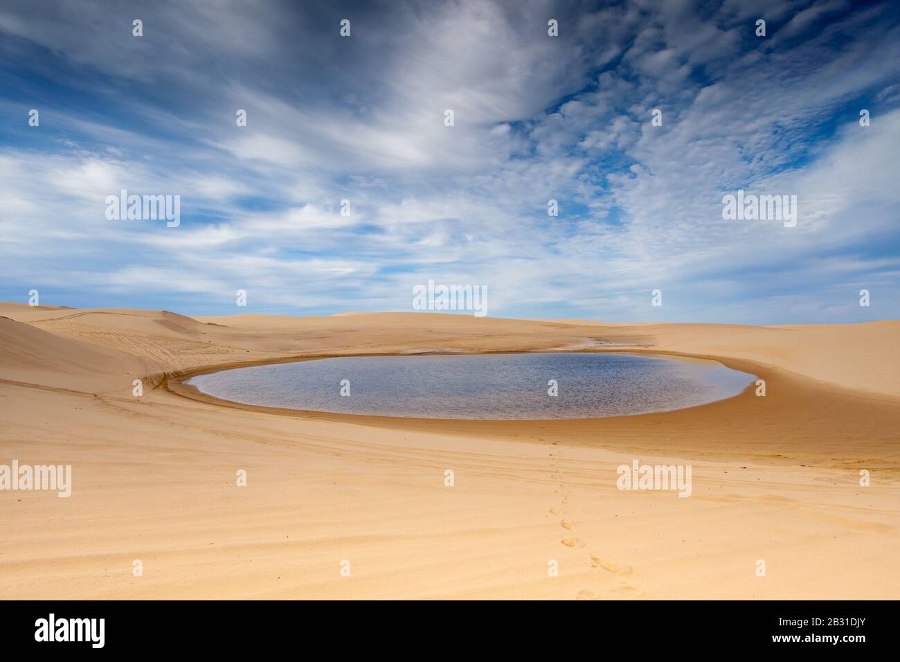 Stockton Sand Dunes Near Newcastle Nsw Australia Stock Photo Alamy stockton-sand-dunes-near-newcastle-nsw-australia-stock-photo-alamy
