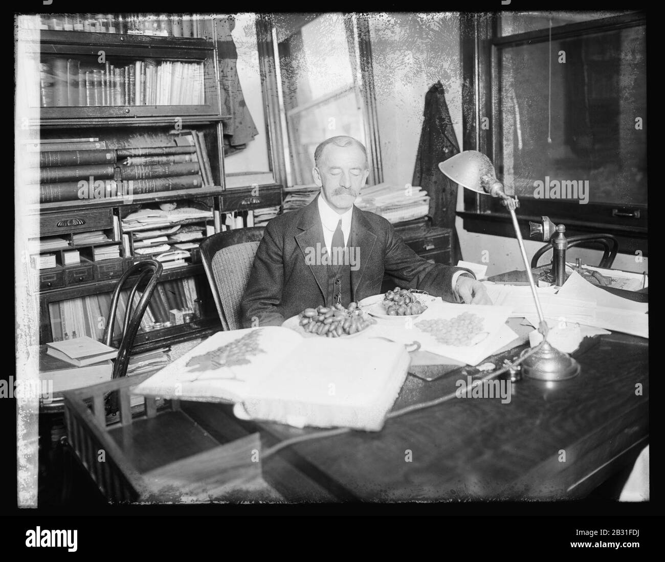 Husmann hi-res stock photography and images - Alamy