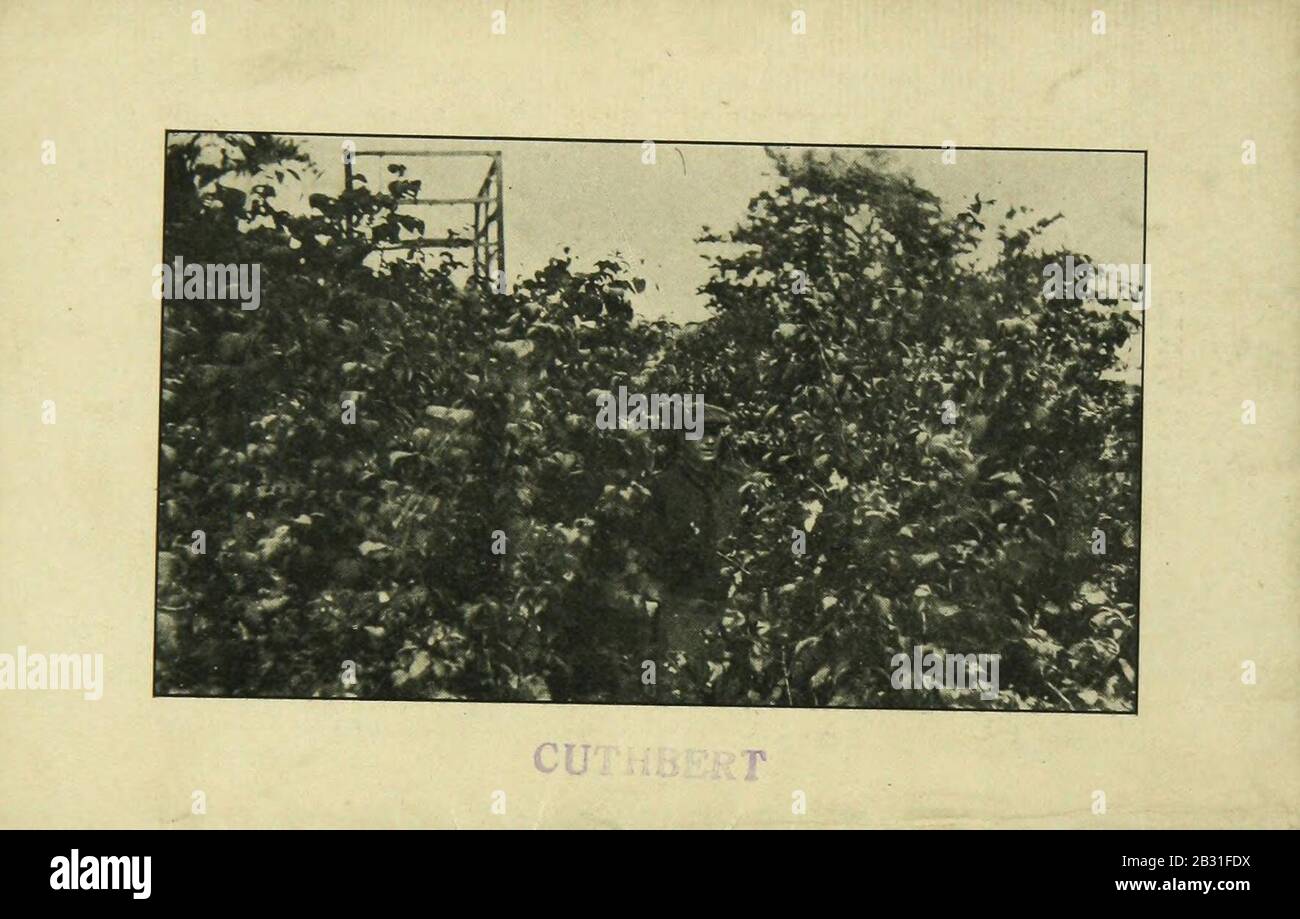 Geo. D. Aiken materials Stock Photo - Alamy