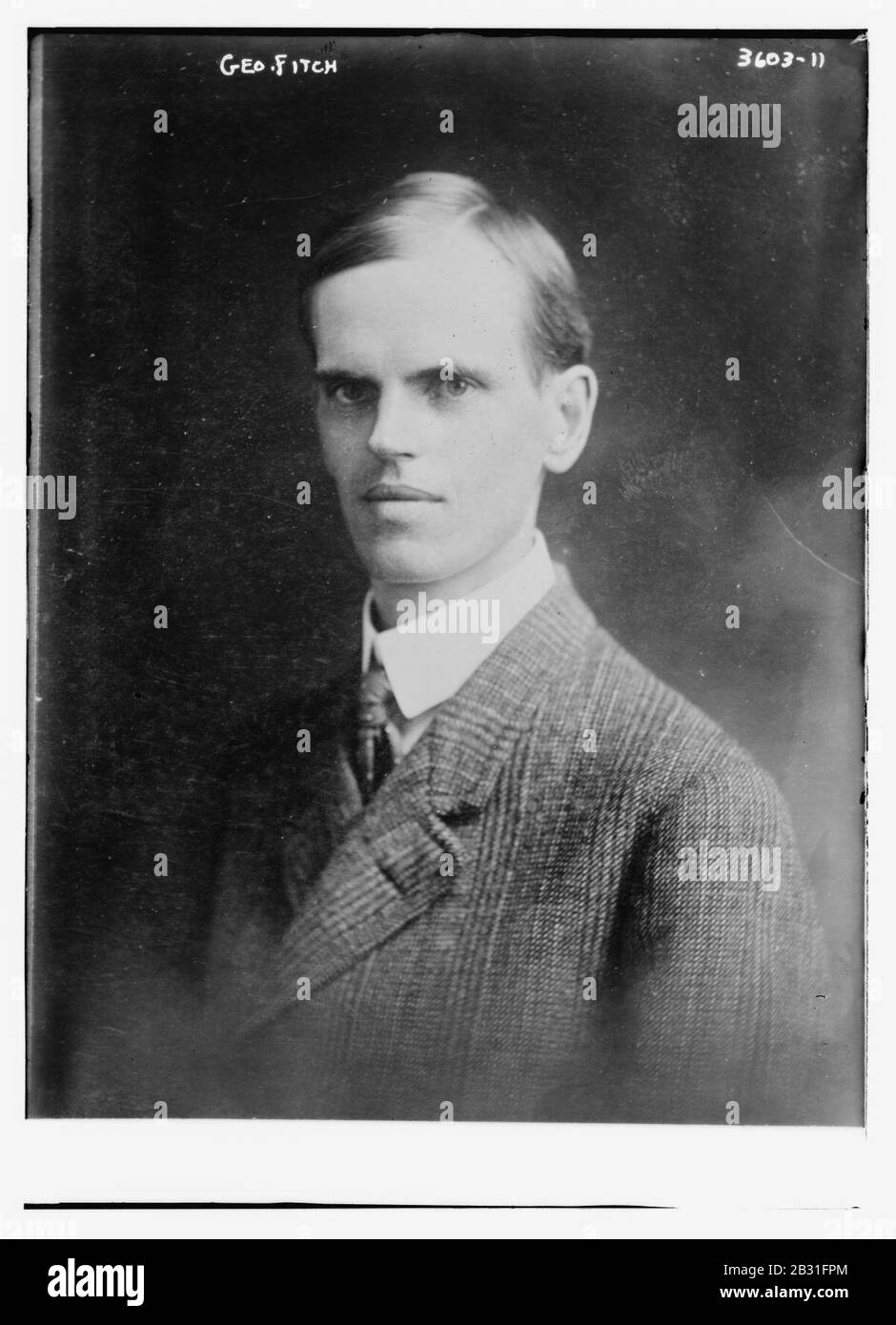 Fitch Cut Out Stock Images & Pictures - Alamy