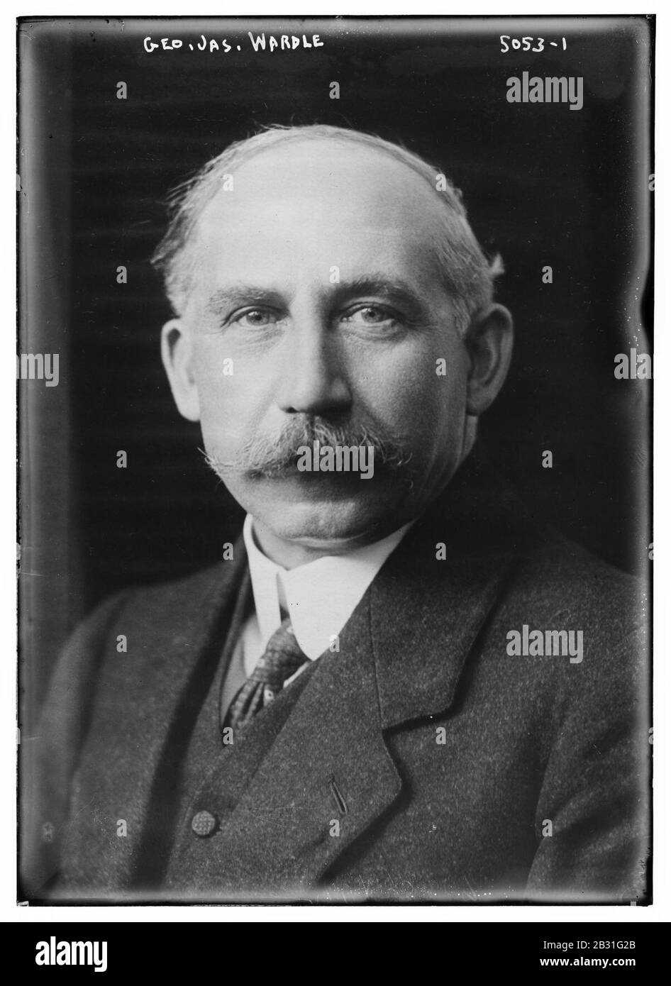 Wardle Cut Out Stock Images & Pictures - Alamy