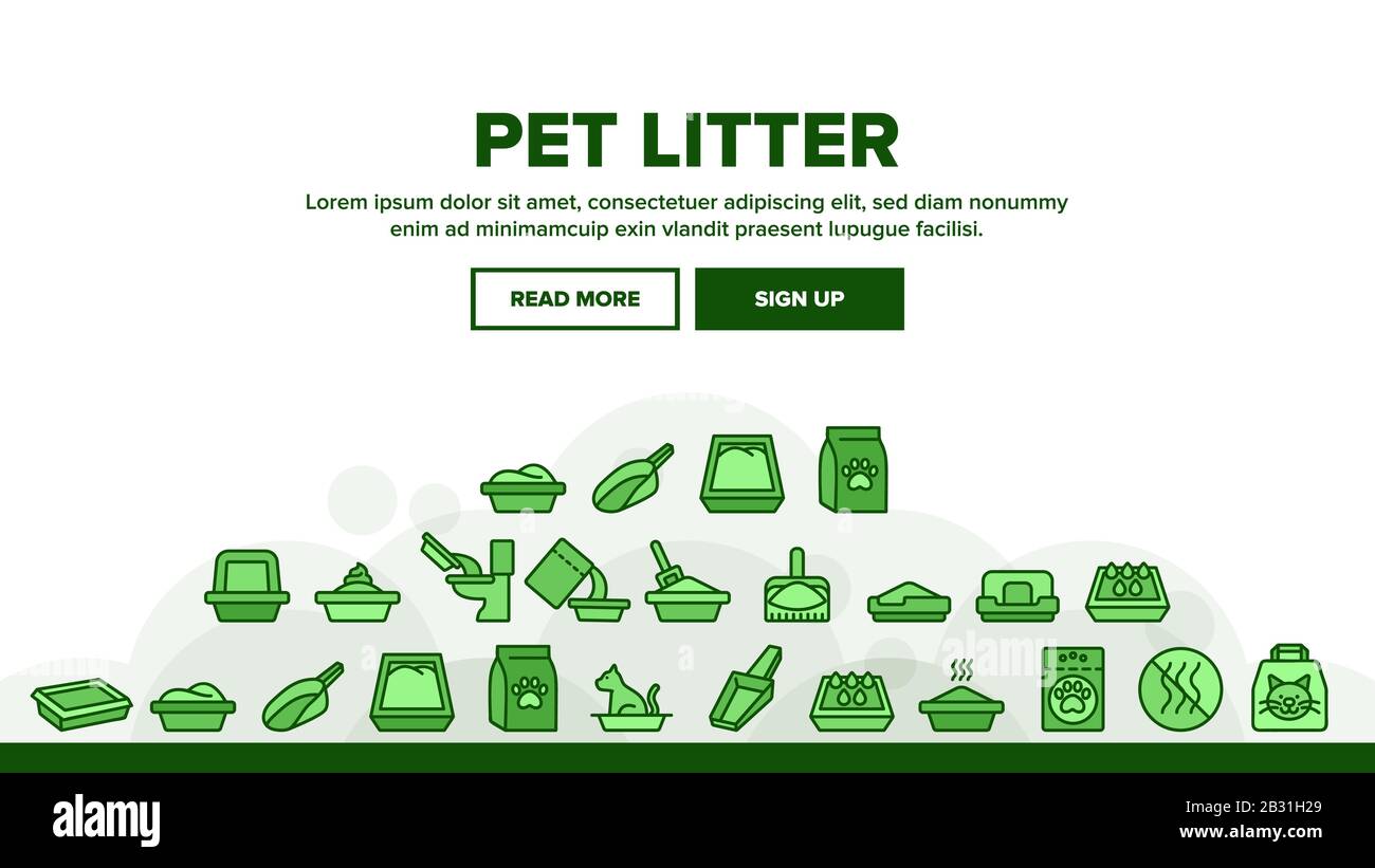 Pet Litter Accessory Collection Icons Set Vector Stock Vector Image ...