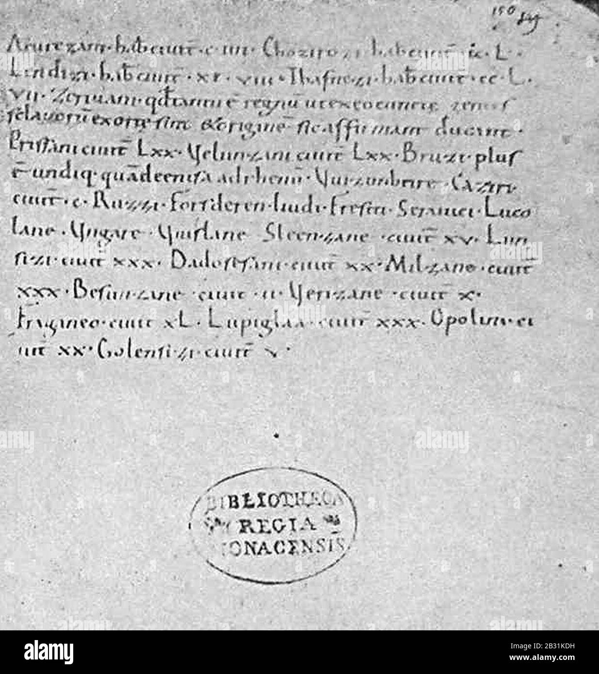 Geographus hi-res stock photography and images - Alamy