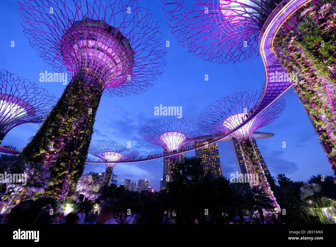 Night view illuminated supertree grove hi-res stock photography and ...