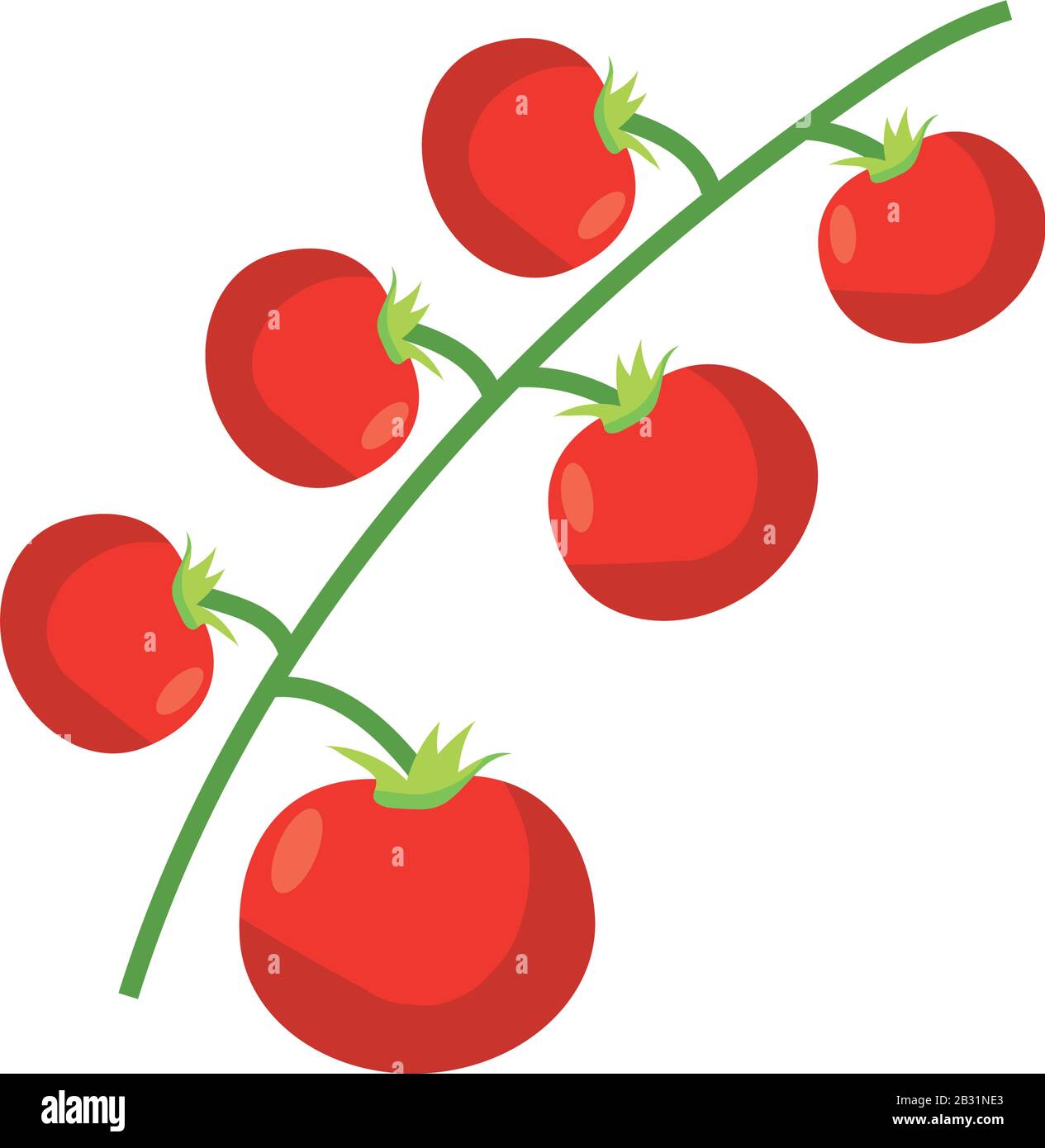 branch with tomatoes icon over white background, flat detail style ...