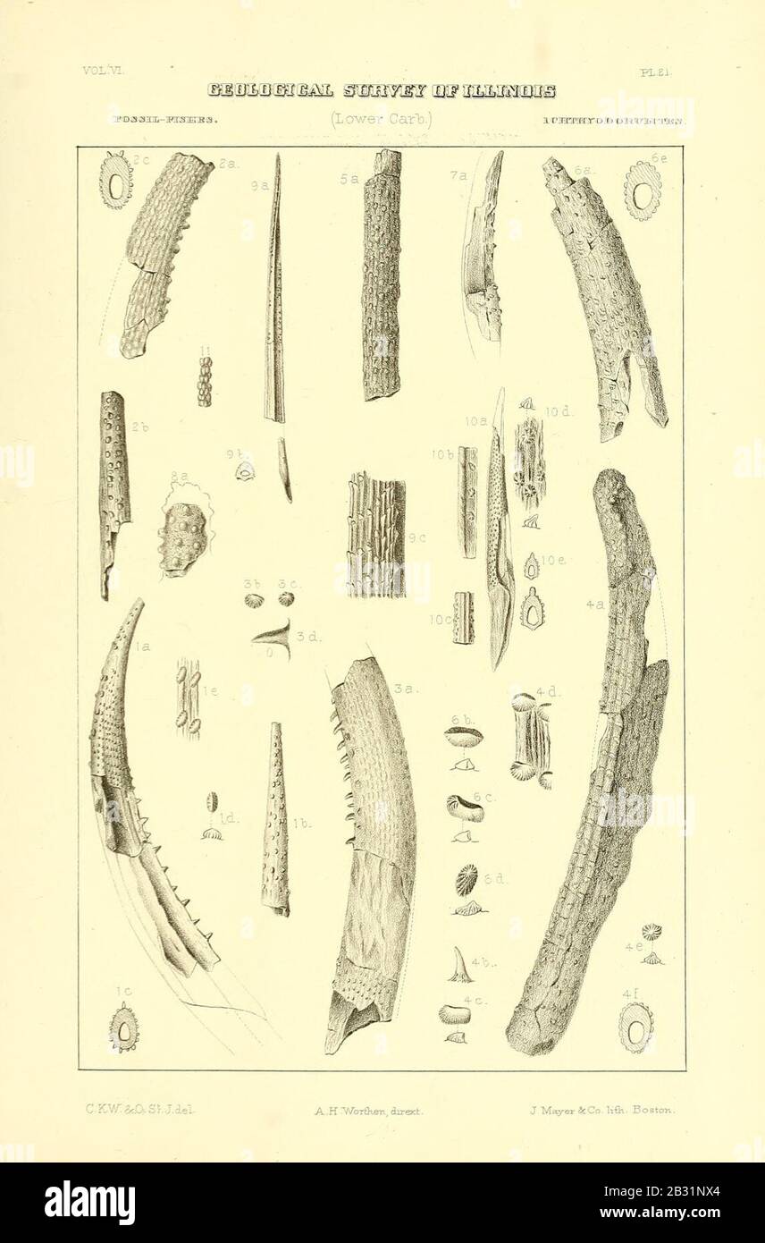 Geological survey history hi-res stock photography and images - Alamy