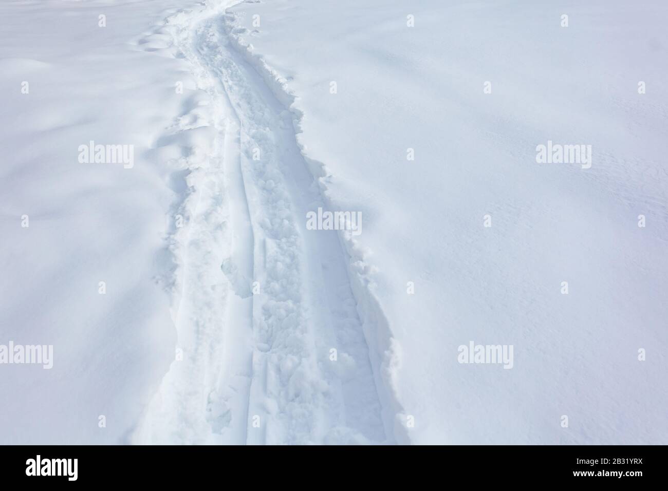 hiking tracks footsteps in the fresh snow Stock Photo - Alamy