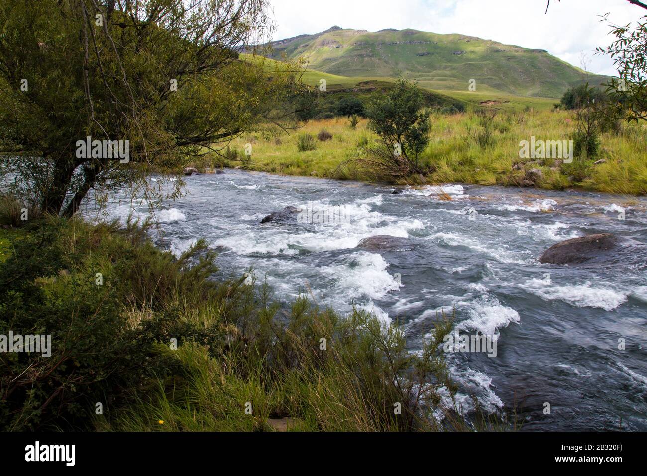 Fast flowing river surrounded by natural vegetation and grass Stock ...
