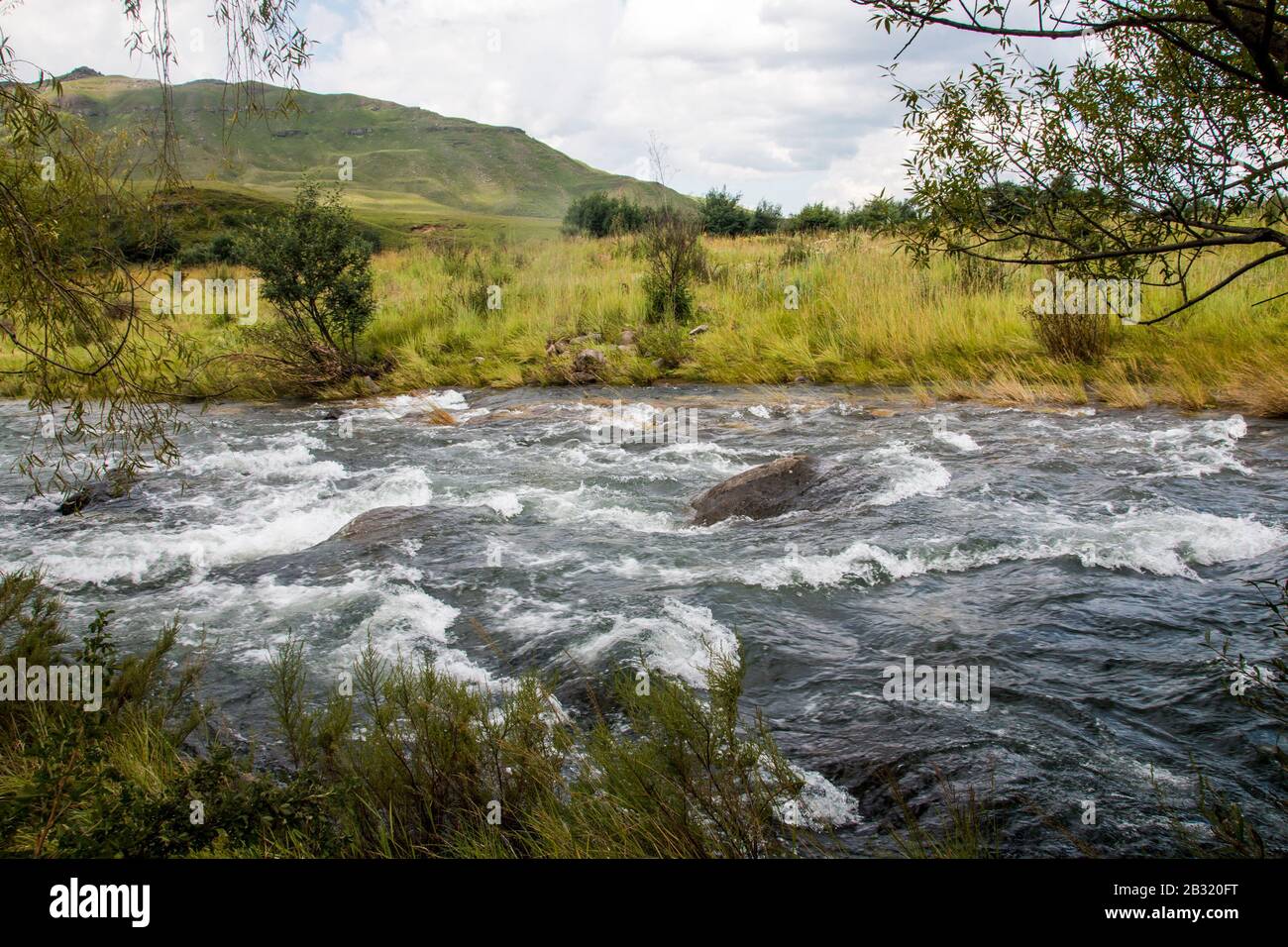 Fast flowing river bordered by natural vegetation and grass Stock Photo ...