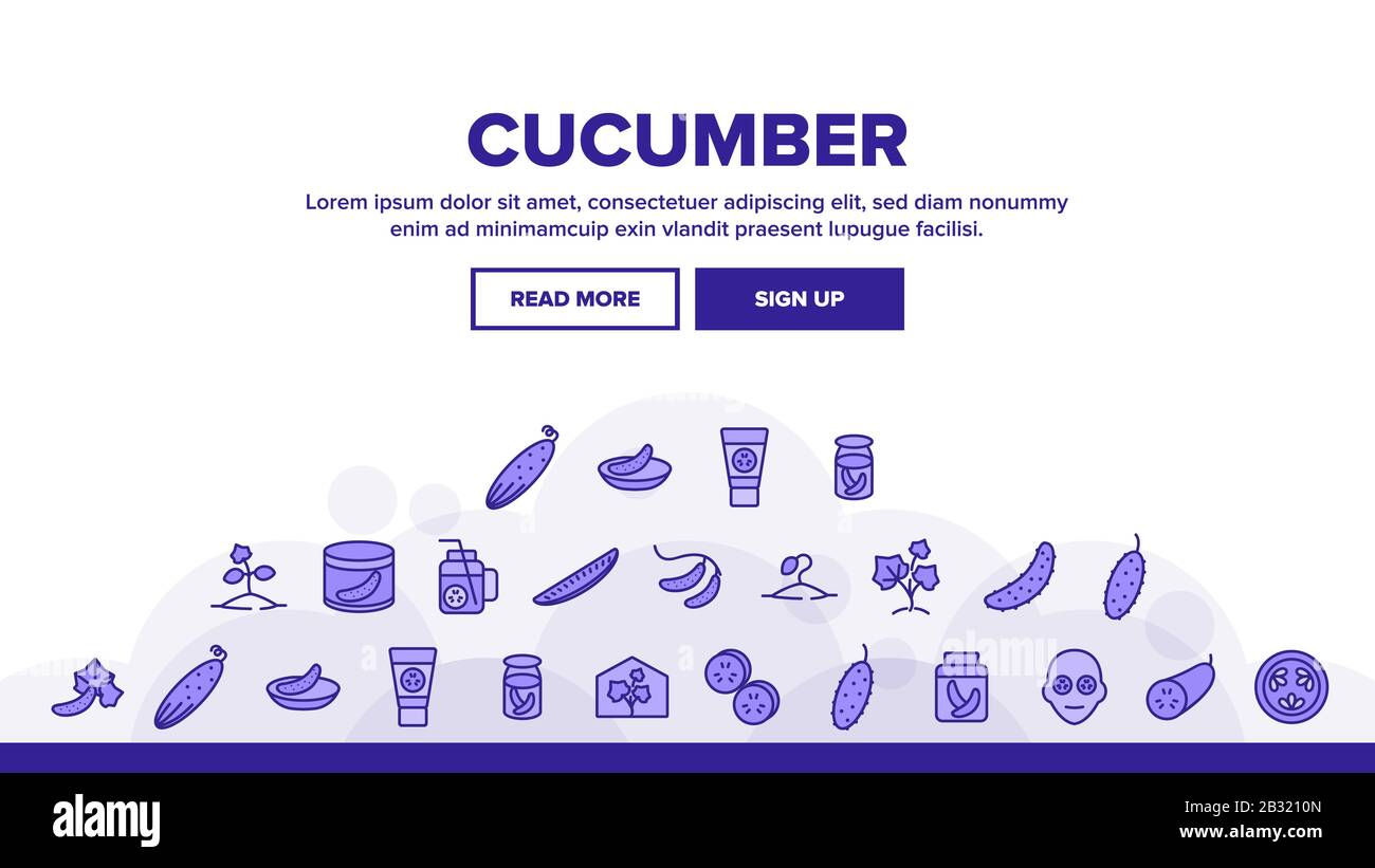Cucumber Vegetable Landing Header Vector Stock Vector Image & Art - Alamy