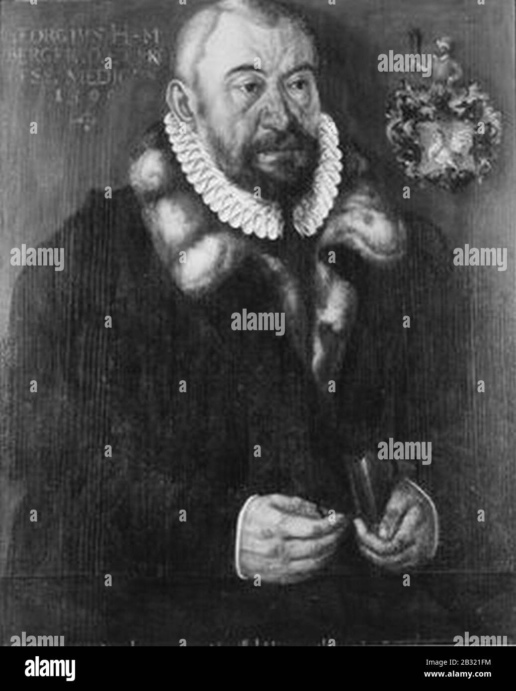 Hamberger hi-res stock photography and images - Alamy