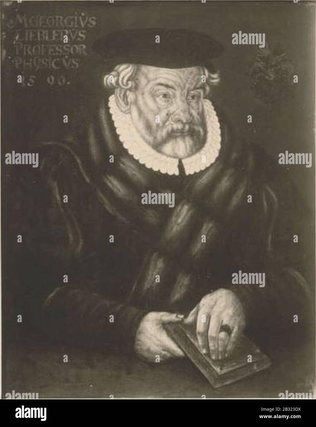 Georg liebler hi-res stock photography and images - Alamy