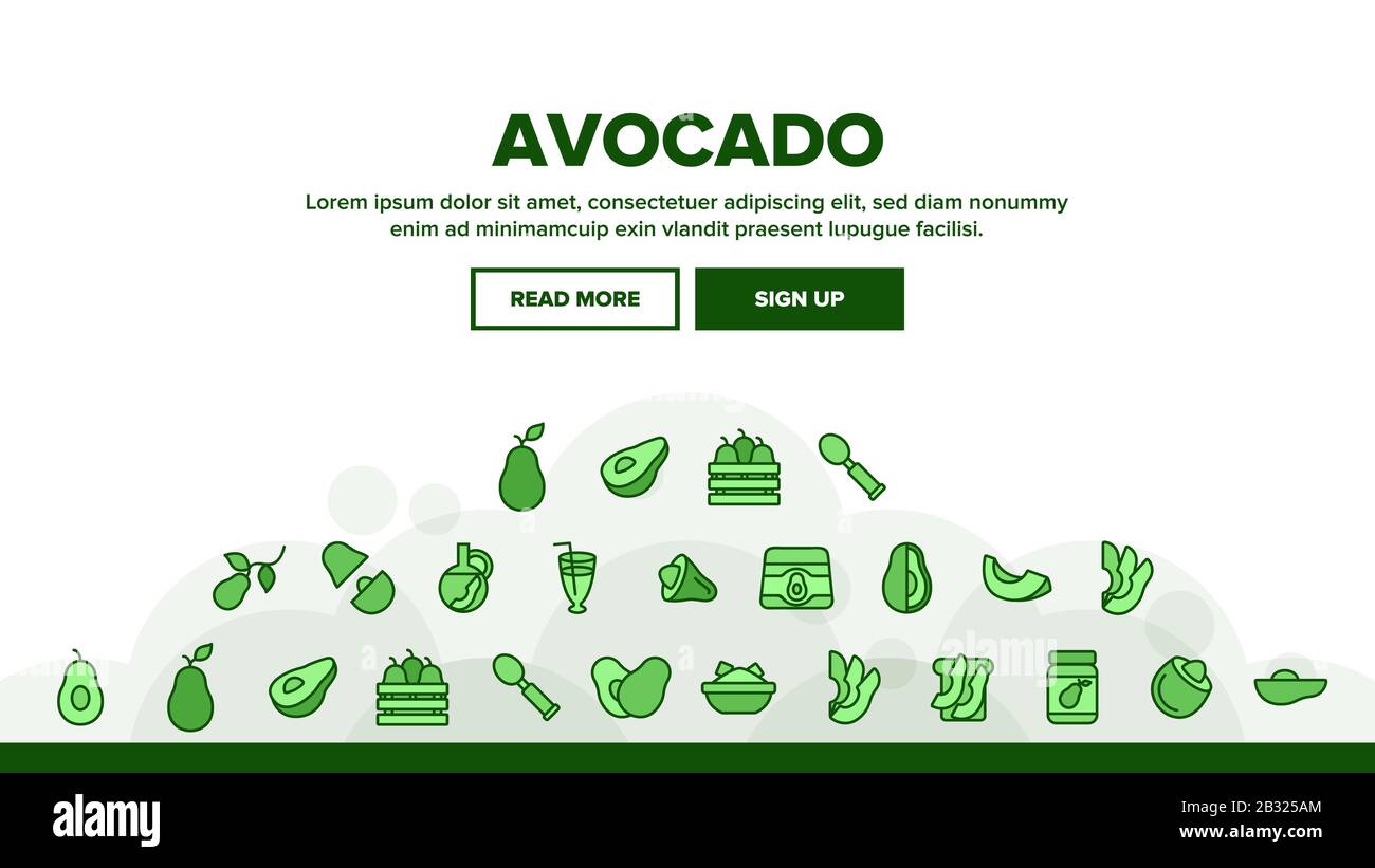 Avocado Vegetable Landing Header Vector Stock Vector Image & Art - Alamy